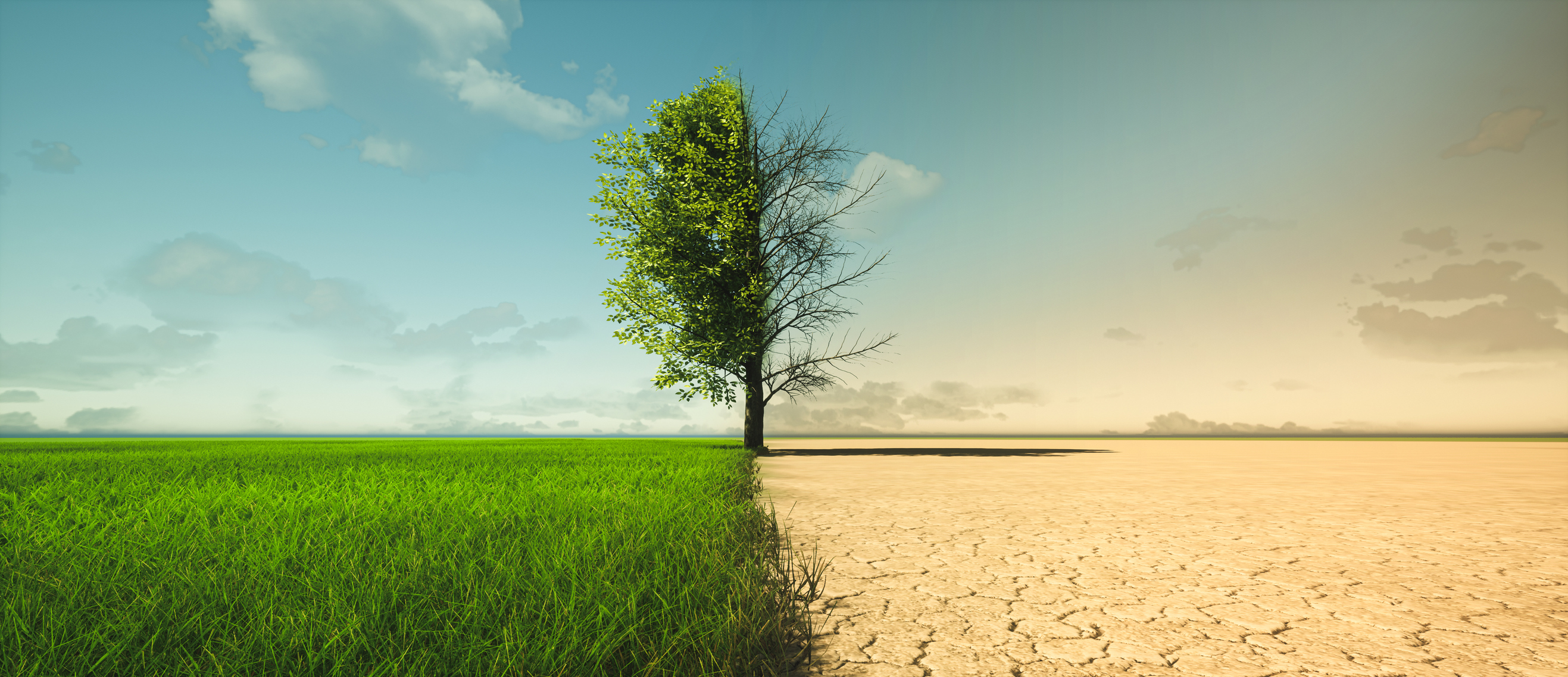 Fondo Social para el Clima